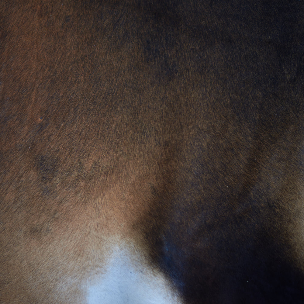 Cowhide Leather Area Rug · Brown by Capra Leather